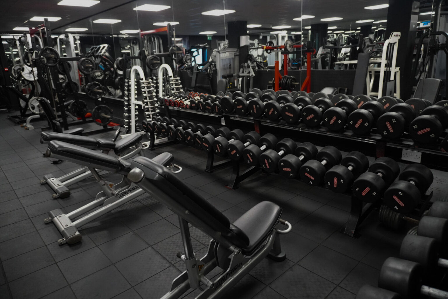 Bodyblitz Fitness Centre – Bodyblitz Fitness Centre